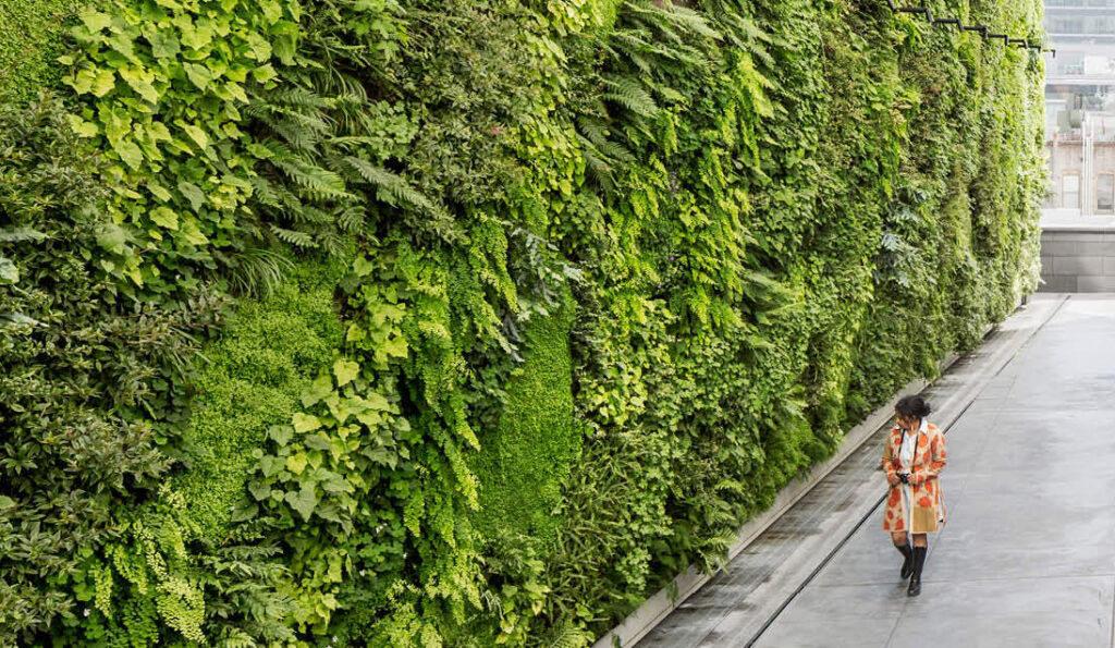 Vertical Green Wall System: Transforming Spaces with Sustainable Living ...
